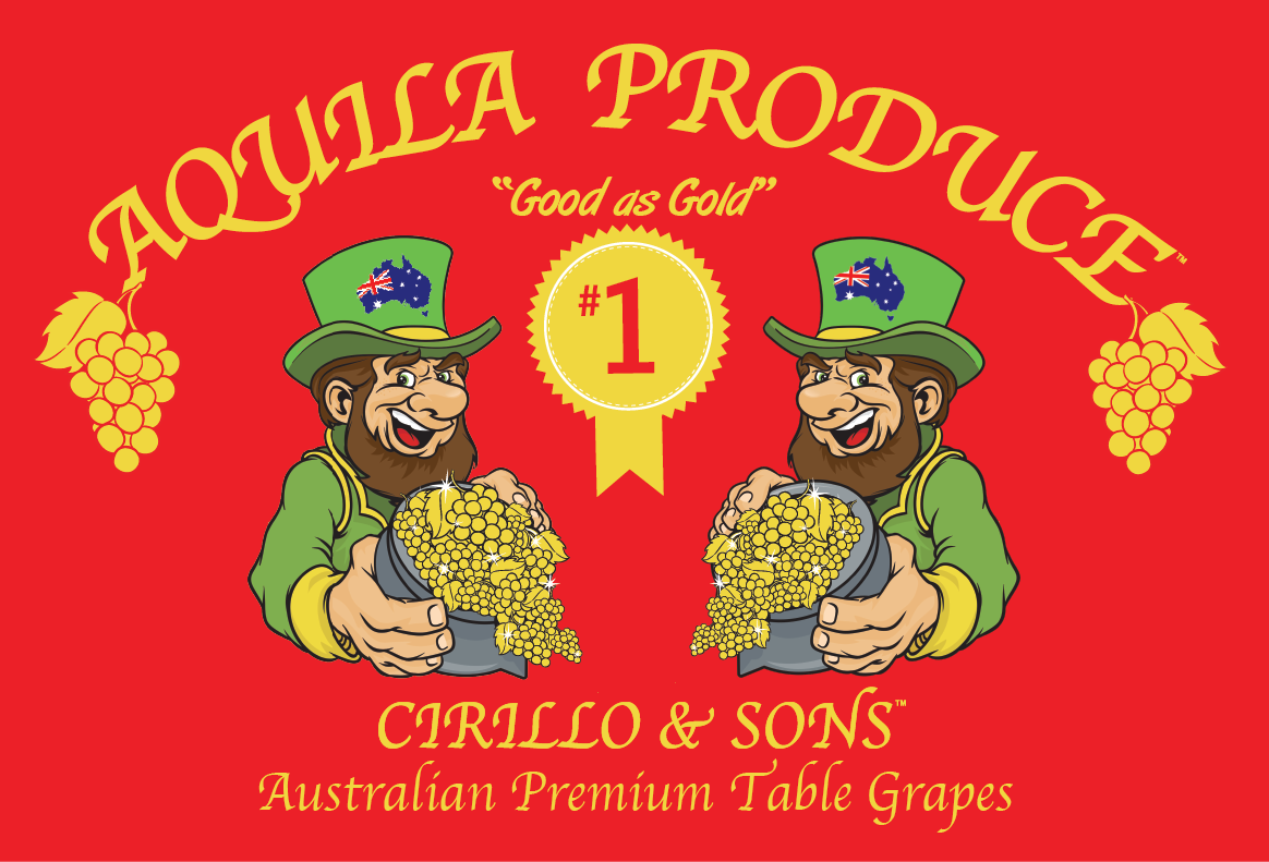 About Us - Alpha Fresh Australia